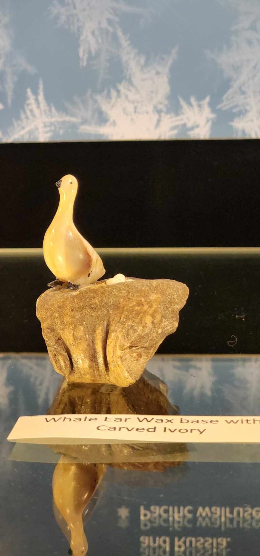 Keeper of the art: Wichita's Native American museum celebrates ...